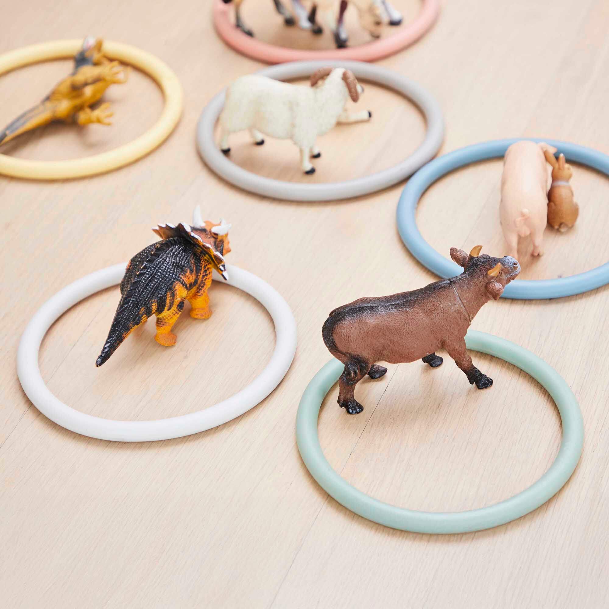 Gonge Activity Rings | Set of 6 | Liberty House Toys